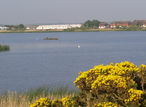 RSPB Valley Wetlands wildlife reserve, Anglesey, Wales